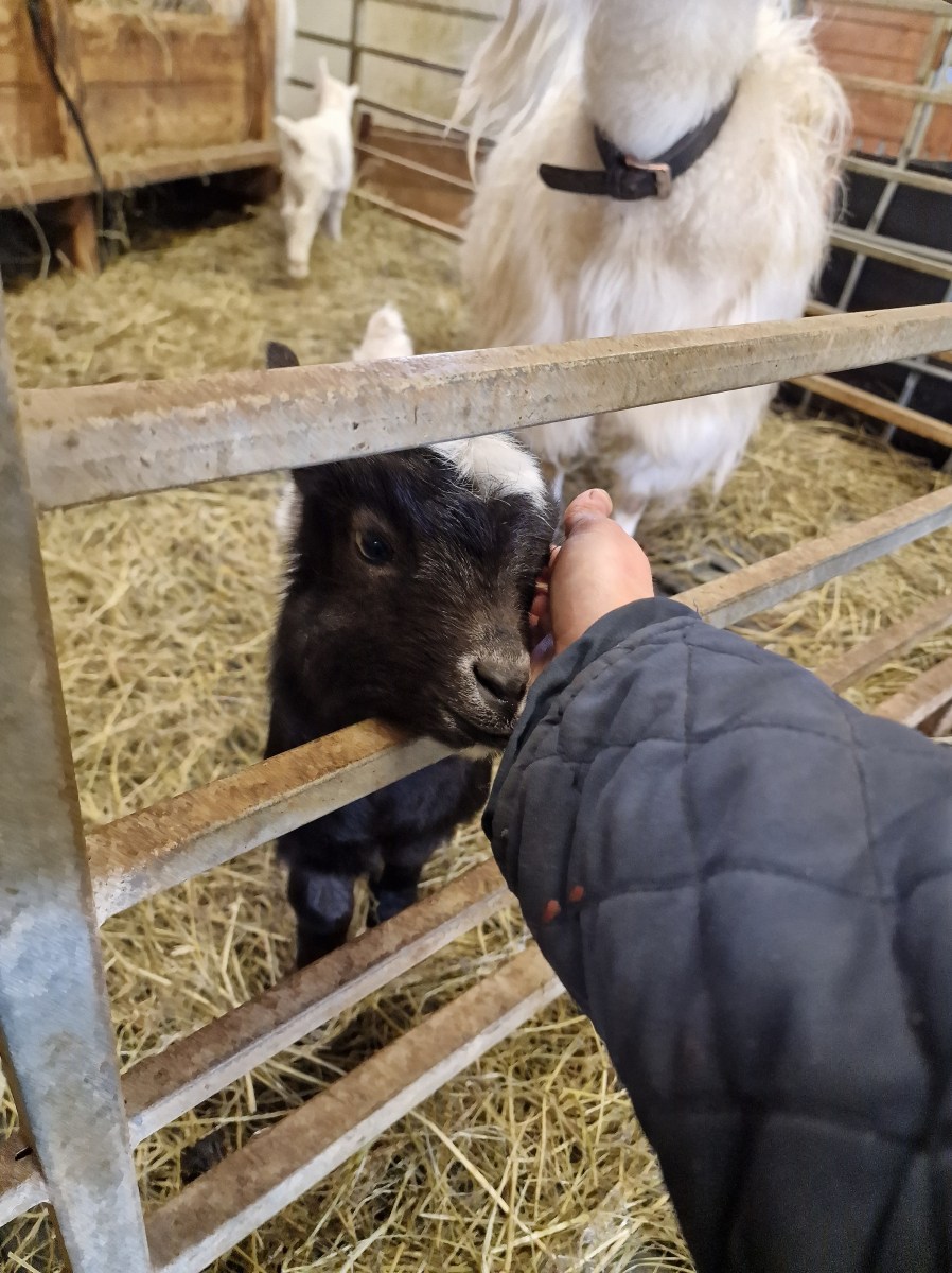 Finding my way – Raseko International