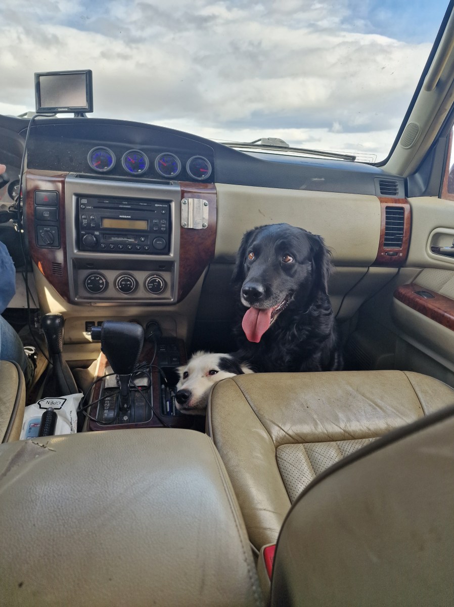 Getting to the end – Raseko International